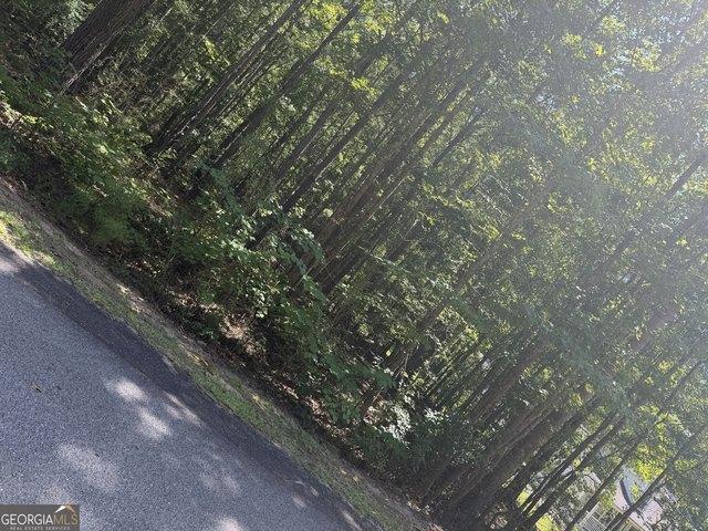 Opal St, Luthersville, GA 30251