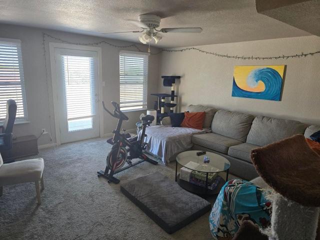 Opera House Apartment 1 2 Bedroom Apartment for Rent at 103 E Oak St, Denton, TX 76201