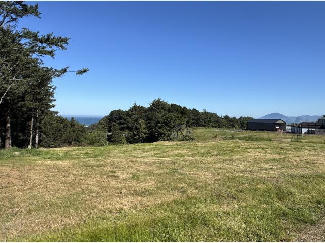 Ophir RD