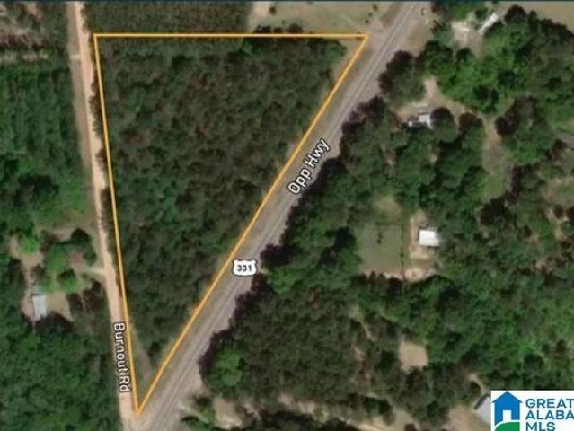 Opp Hwy Lot 0, Dozier, AL 36028