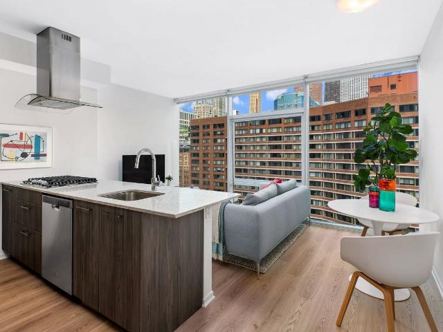 Optima Signature 2 Bedroom Apartment for Rent at 220 E Illinois St, Chicago, IL 60611 Near North Side