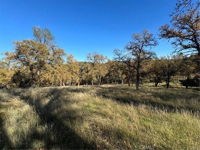 Oroville CA 95966 90658023