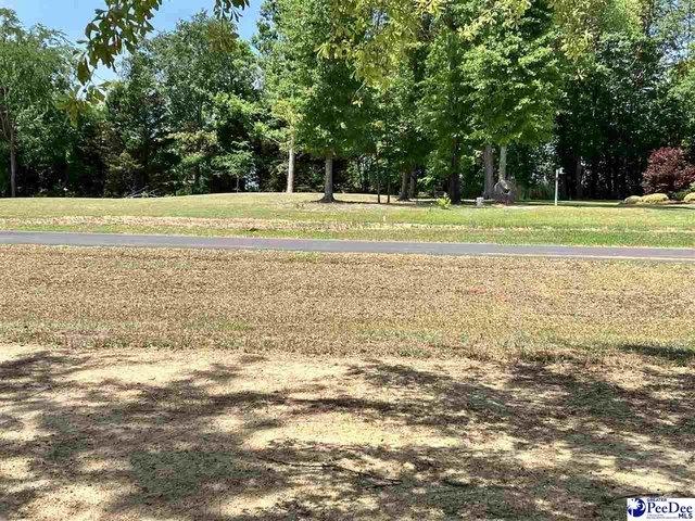 Ora Ln Lot 19, Chesterfield, SC 29709