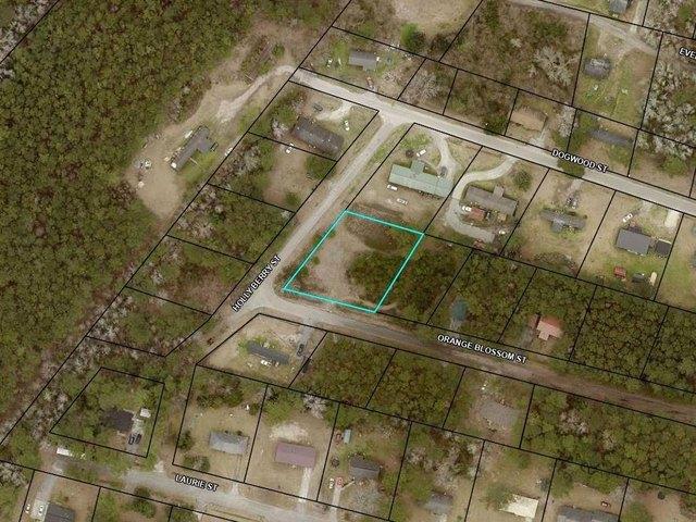 Orange Blossom St Lot On, Andrews, SC 29510