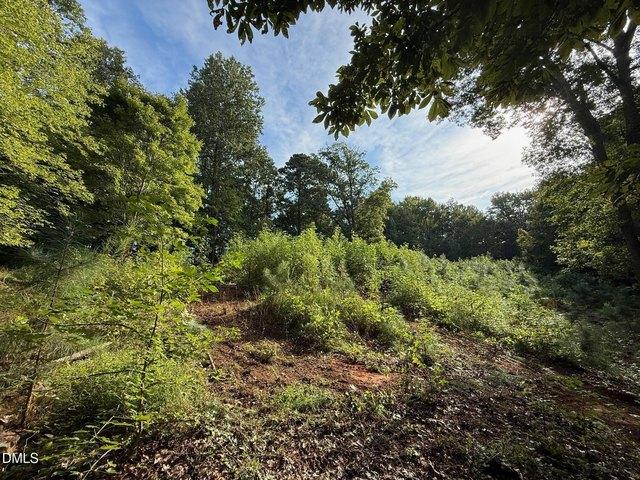 Orange Grv St Lot 1, Hillsborough, NC 27278