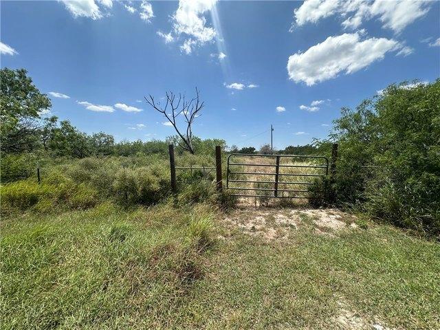 Orange Grove, TX 78372
