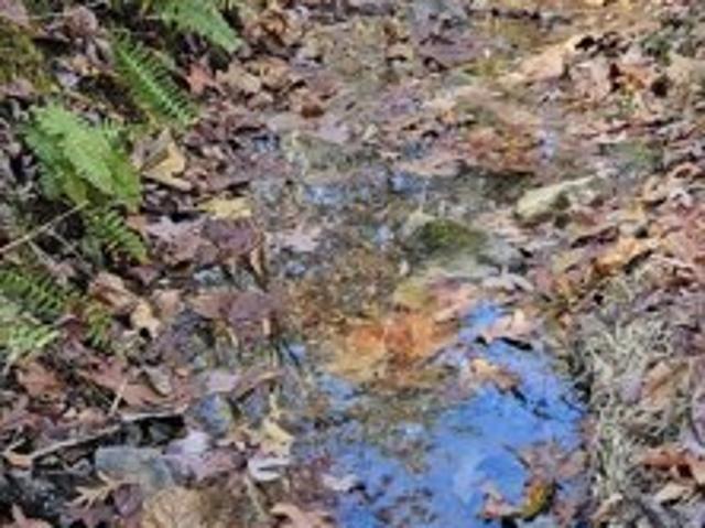 Orange Ln, Troutville, Plot For Sale