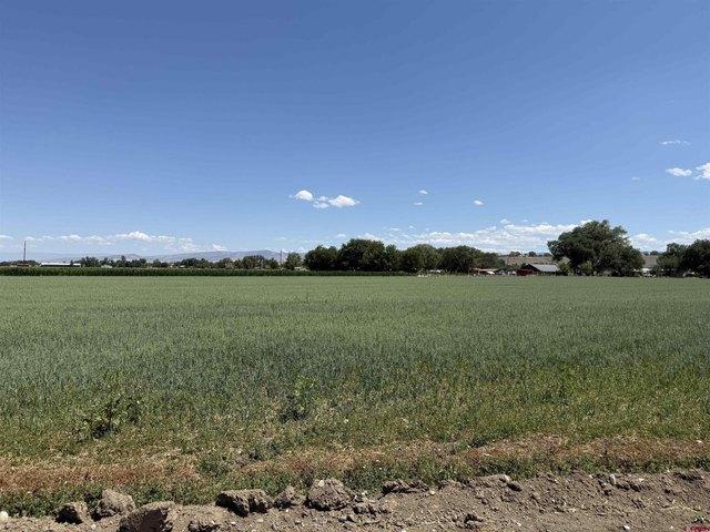 Orange Rd and 6400 Rd, Montrose, CO 81403