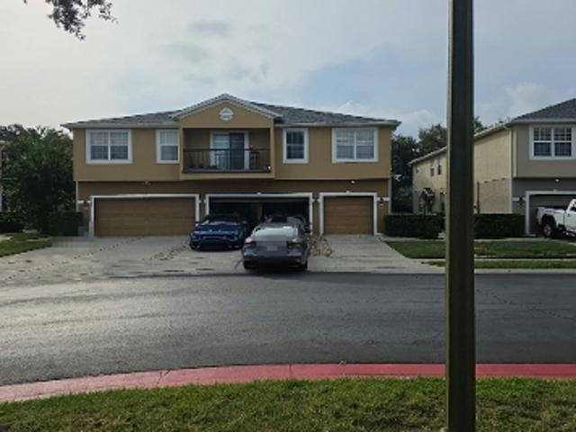 Orange Tree Ct