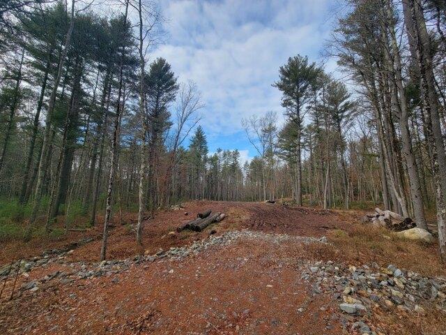 Orcuttville Rd, Stafford, Plot For Sale