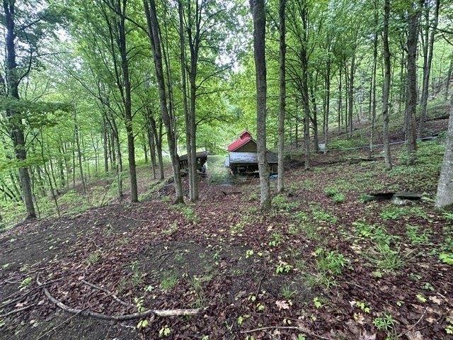 Orcutt Hill Rd, Buckland, Plot For Sale