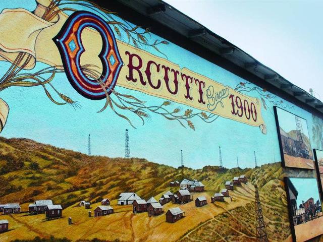 Orcutt room for rent with bath rm