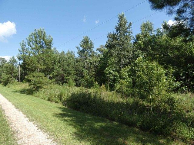 Orchard, Monticello, FL 32344