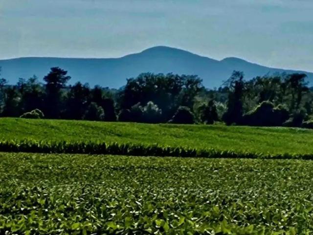 Orchard NY 102245490