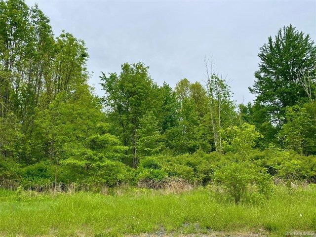 Orchard Dr, Plattekill, NY 12568