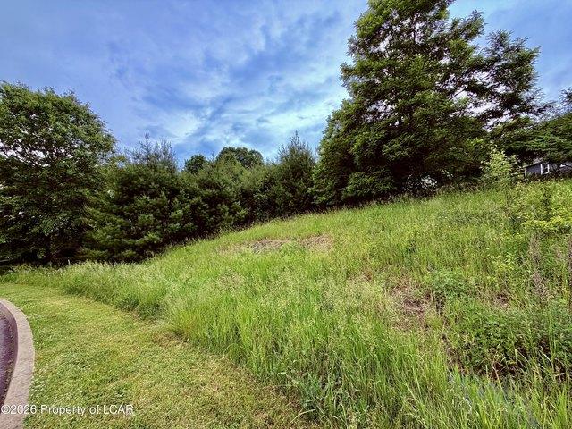 Orchard Ln Lot 29, Dallas, PA 18612