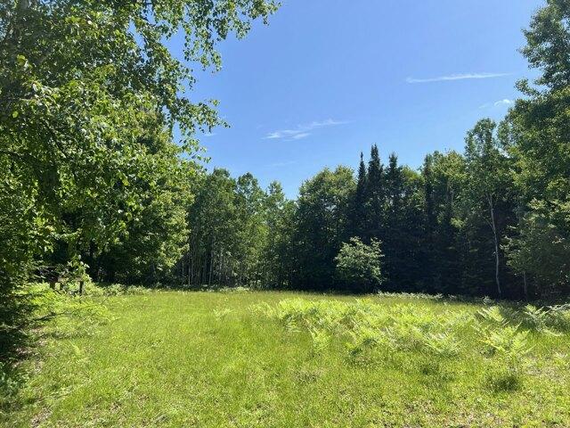 Orchard Rd, Lake Linden, Plot For Sale