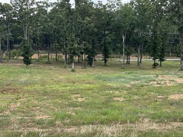 Orchard View Dr, Conway, AR 72034