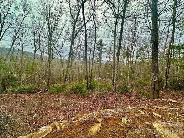 Orchard View Trl Unit 11, Spruce Pine, NC 28777