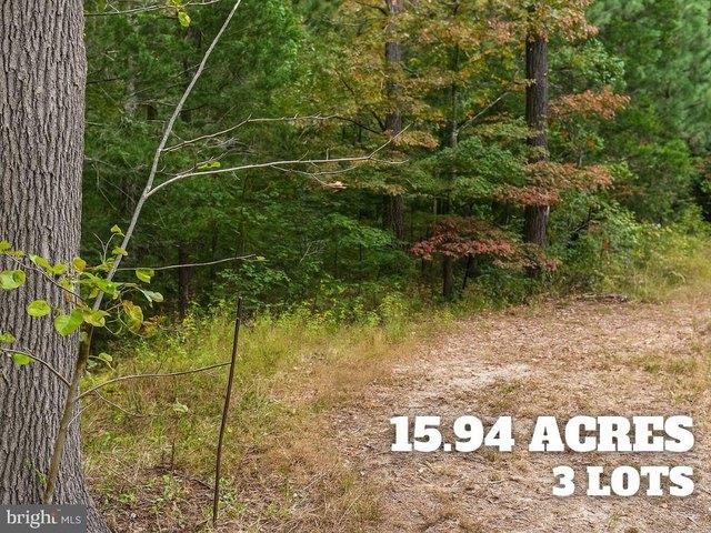 Oreto Ln, Bryans Road, MD 20616