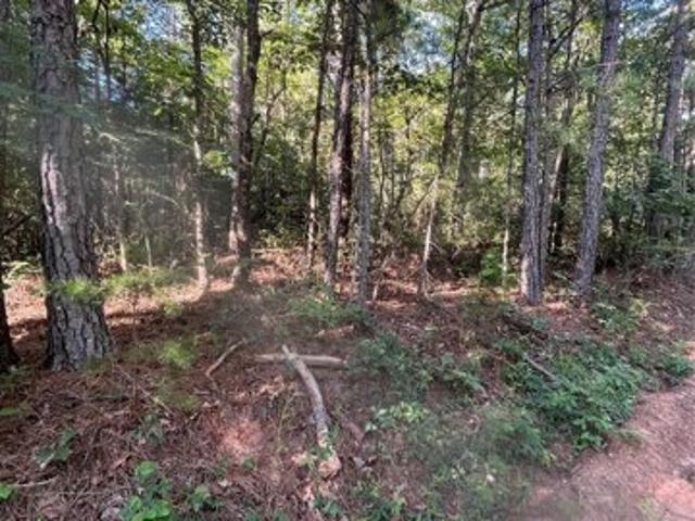 Ore Bank Rd Unit,smyrna, Plot For Sale