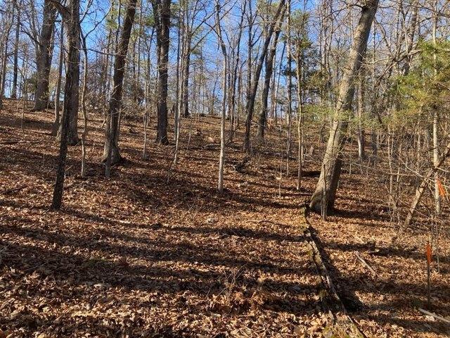Oregon Ave Lot 8, Eureka Springs, AR 72632