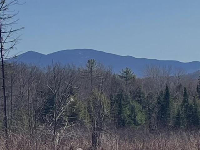 Oregon Rd Lot,lisbon, Plot For Sale