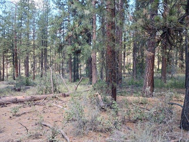 Oriole Dr Lot 13, Bonanza, OR 97623