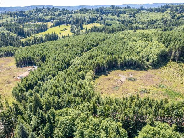 Orion, Longview, WA 98632 | MLS #131680