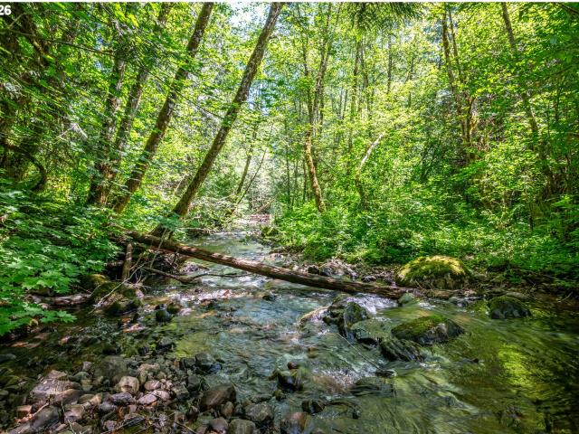Orion, Longview, WA 98632 | MLS #616574