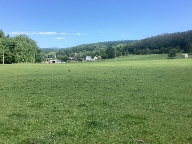Orkney Grade, Mount Jackson, VA 22842
