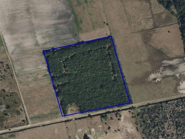 Orlando Ave, Mims, FL 32754