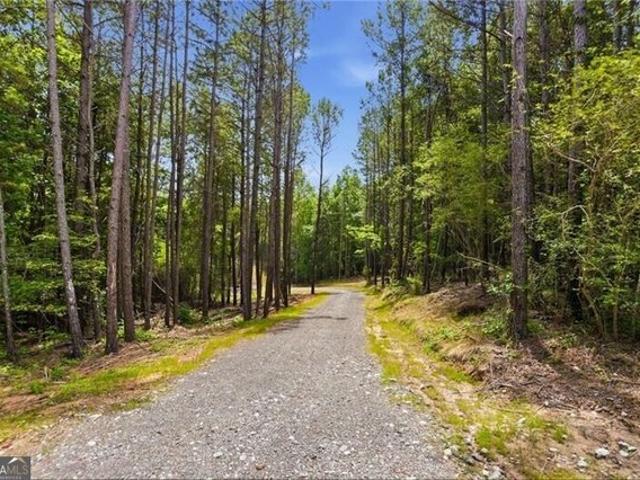 Orlando Path Lot 4, Dallas, GA 30157