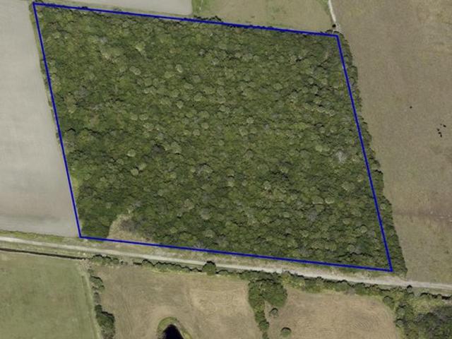 Orlando 10 Acres Ave, Mims, FL 32754