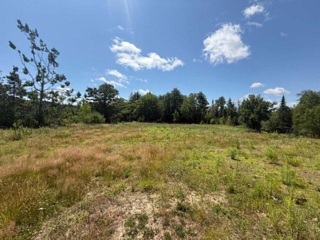 Orrington ME 04474 104513423