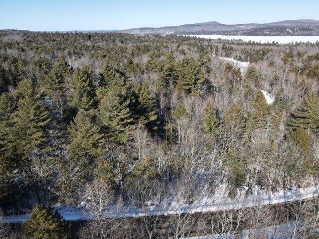 Orrington ME 04474 LS101934118