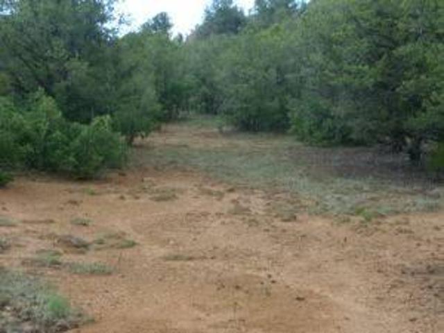 OWNER FINANCING Mountain Land West of Trinidad Lot 40 S.H for sale in Boncarbo, Colorado