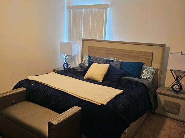 Owner/resident