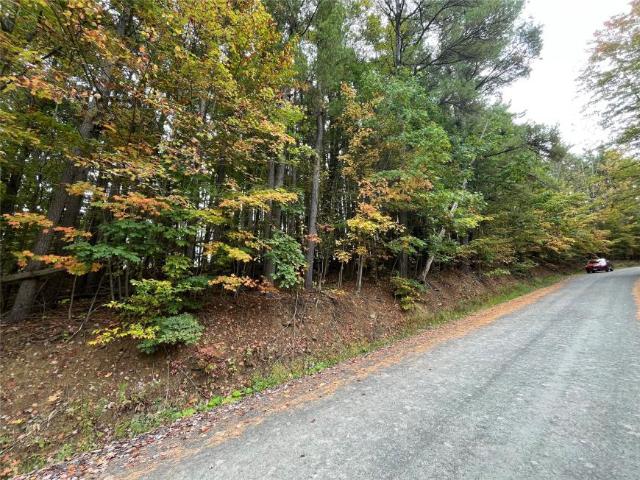 Owego NY 13827 101252182