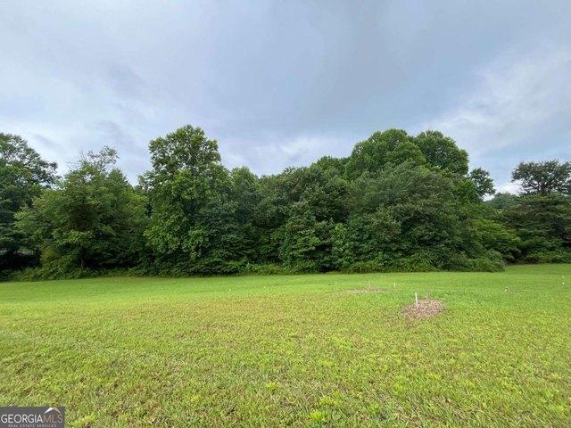 Owen Glen Dr Lot 117, Blairsville, GA 30512