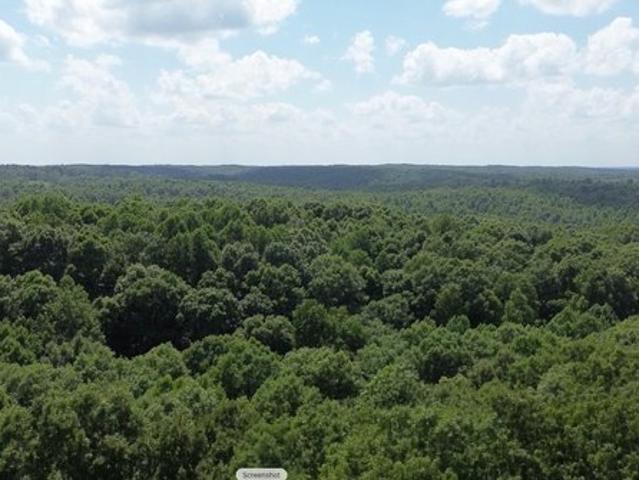 Owl Cir, Hurricane Mills, TN 37078