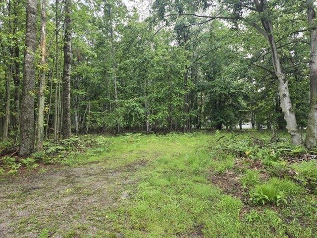 Owl Rd, Lincoln, MI 48742