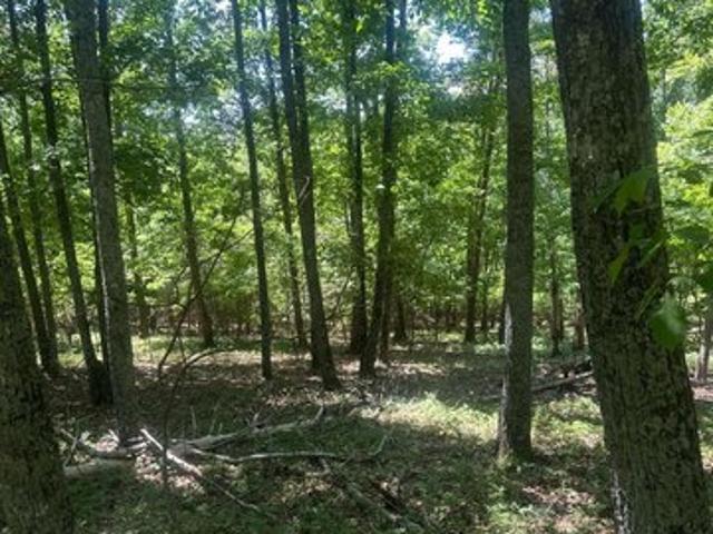 Owl Ridge Way, Jasper, GA 30143