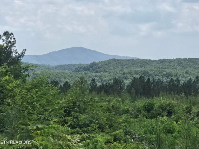 Owl Ridge Way, Sunbright, TN 37872