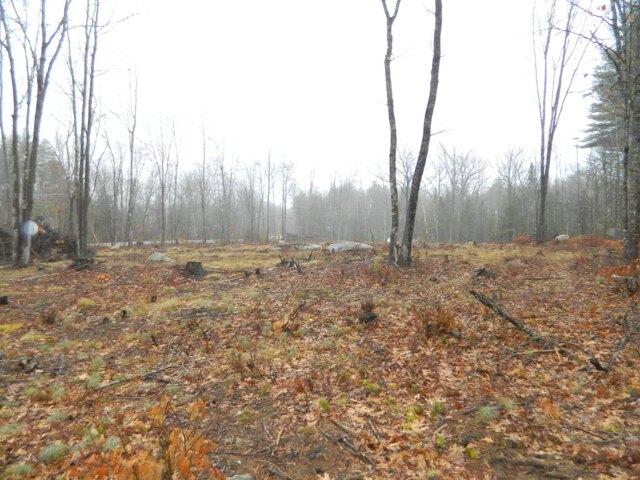 Owls Nest Rd, Shapleigh, Plot For Sale