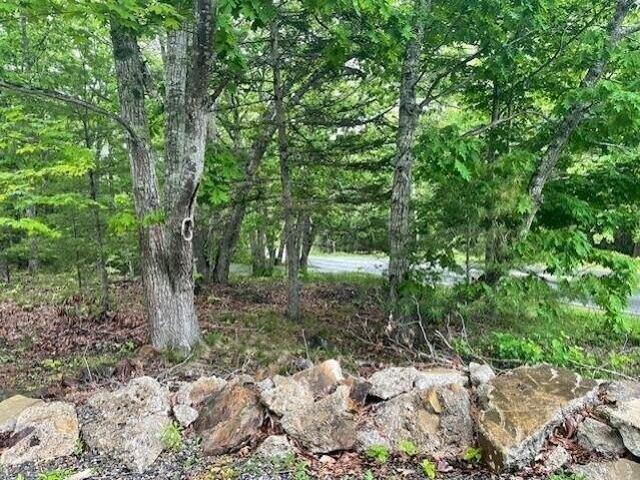 Owls Head ME 04854 104568423