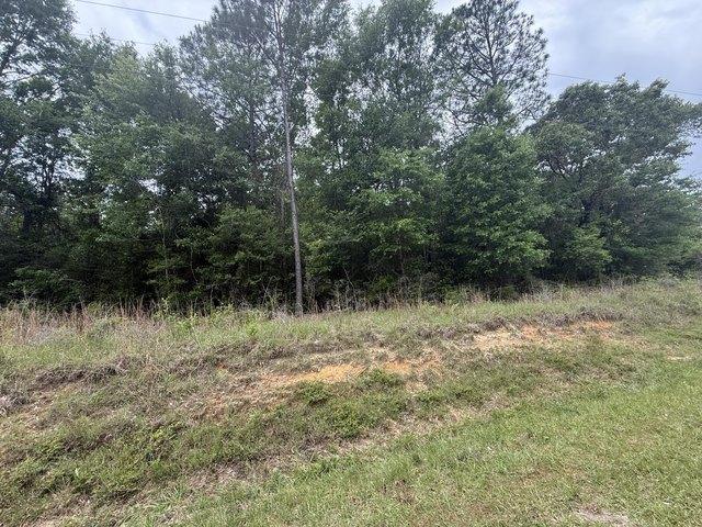 Otho Davis, Lumberton, MS 39455