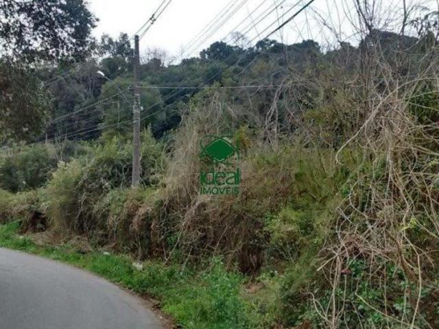 Ótima área de terras na Vila Maestra em Caxias do Sul sentido Flores da Cunha
