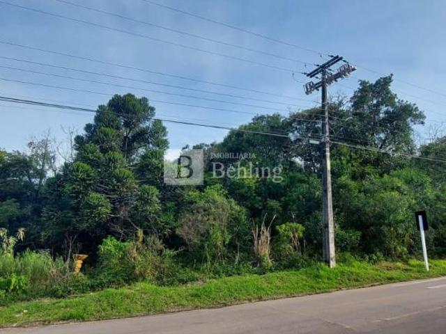 ÓTIMA ÁREA DE TERRAS NA SERRA GRANDE
