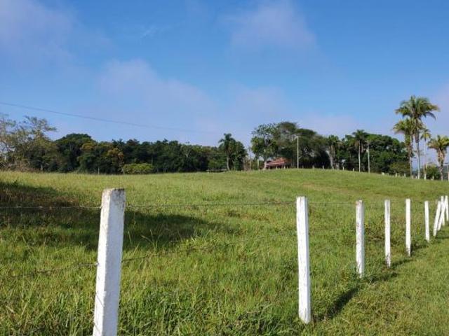 ÓTIMA FAZENDA A VENDA